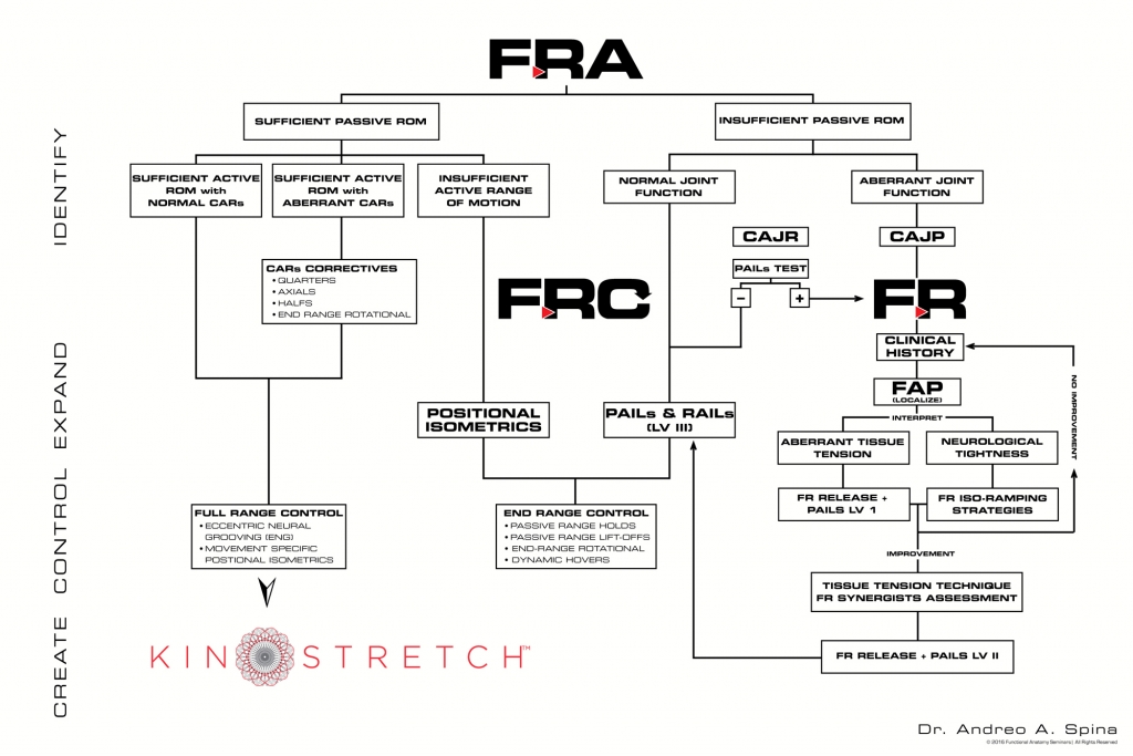 FRA Flowchart - Functional Anatomy Seminars