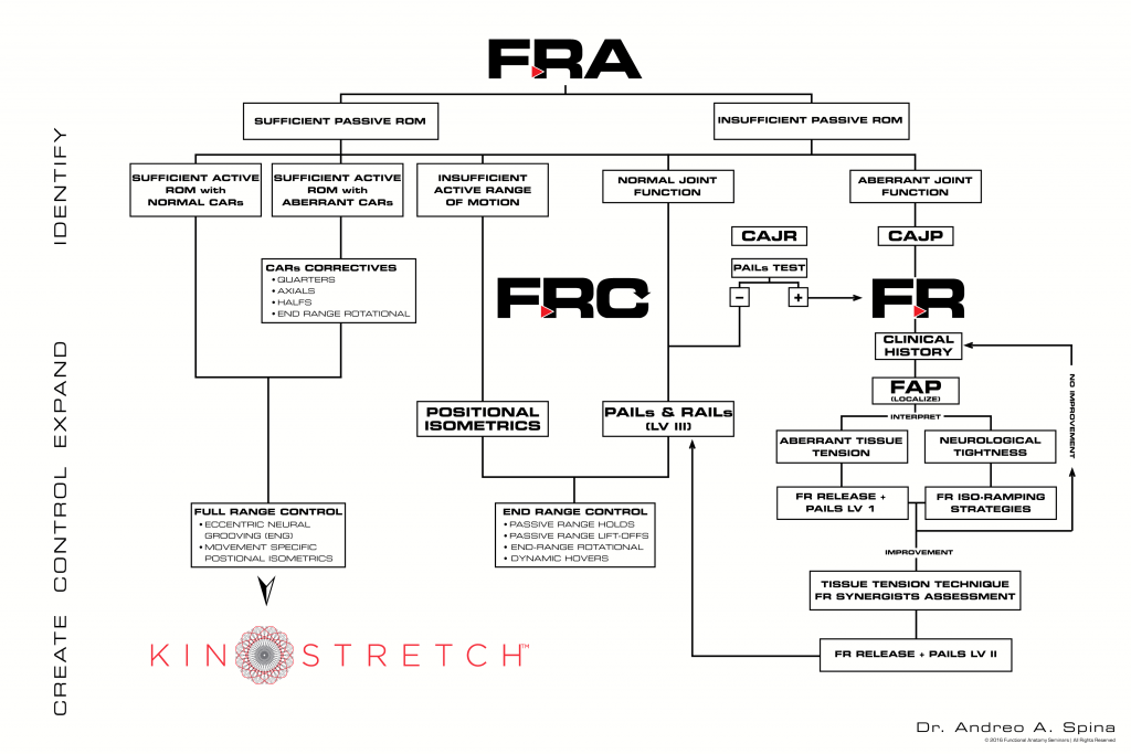 FRA Flowchart - Functional Anatomy Seminars